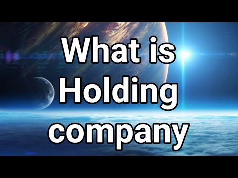 What is Holding company. Urdu/ English