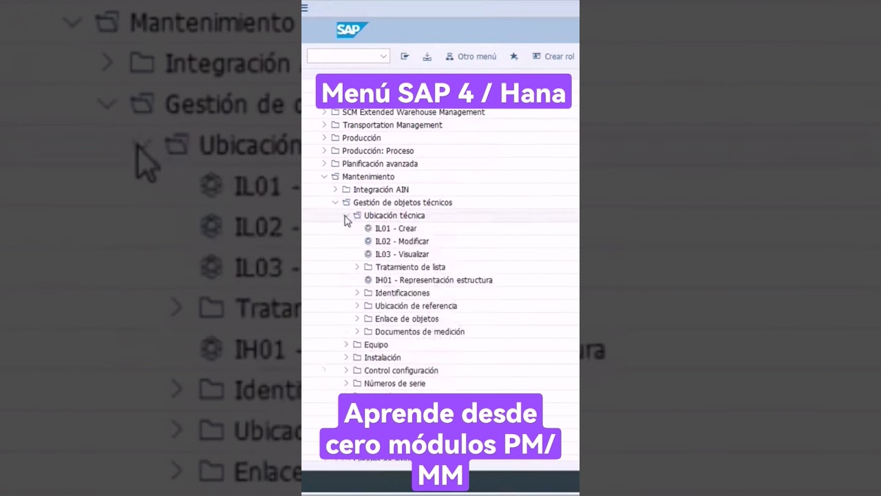 Menú SAP 4/Hana módulo PM/MM - Nunca fue tan fácil aprender SAP desde cero