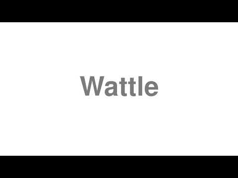 How to Pronounce "Wattle"