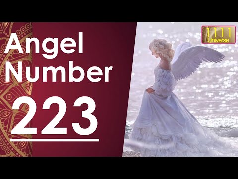 Meaning Of Angel Number223 | | Universe Message | Angel Guidance | 1111 Universe