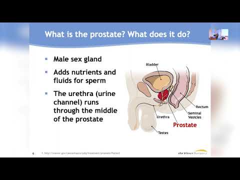 Understanding Common Problems in Urology | Emory Mens Health Program