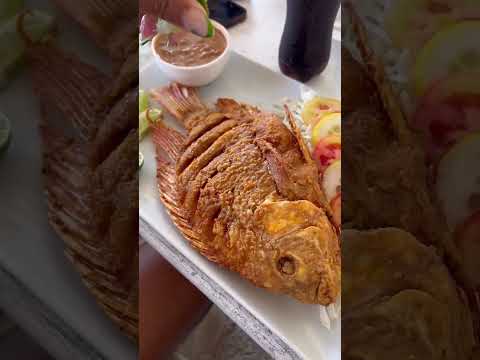 Fried Fish in Boca Chica, DR #dominicana #bocachica #pescadofrito #redsnapper #beach #domrep