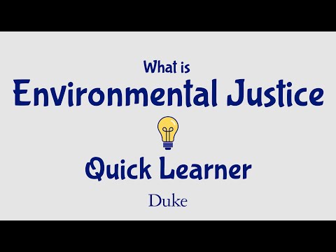 What is Environmental Justice? | Quick Learner