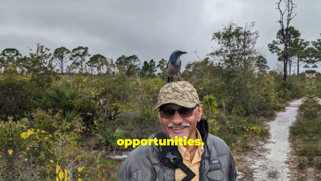 Fall Migration of Birds in Louisiana - a Bird Photographer’s Paradise