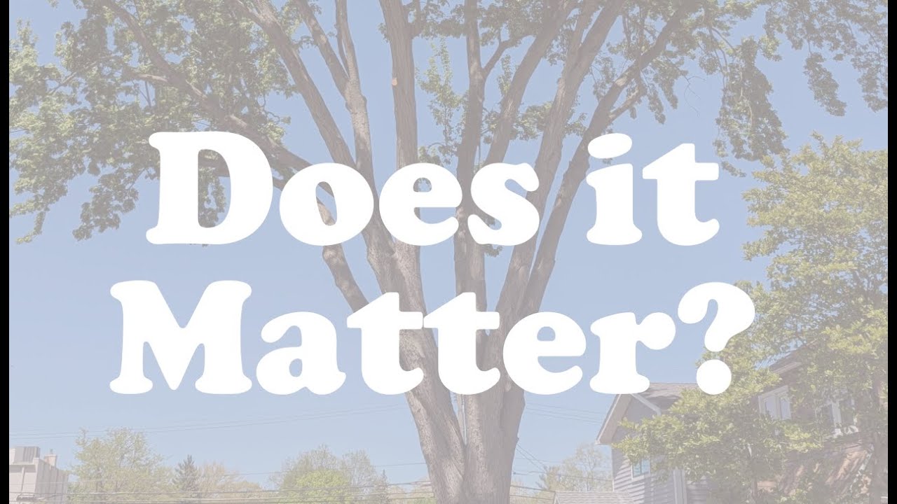 A Problem with the ISA Certified Arborist credential