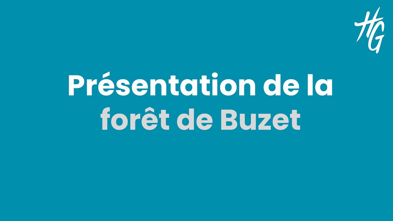 La forêt de Buzet | Haute-Garonne