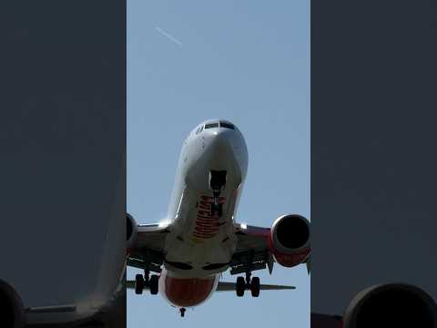 BOEING 737-MAX9 CORENDON AIRLINES (ZAKYNTHOS TO AMSTERDAM) LANDING SCHIPHOL AIRPORT / PLANE SPOTTING