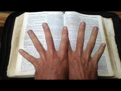 7 Chief Princes of 7 Provinces at Jerusalem - the Manchild