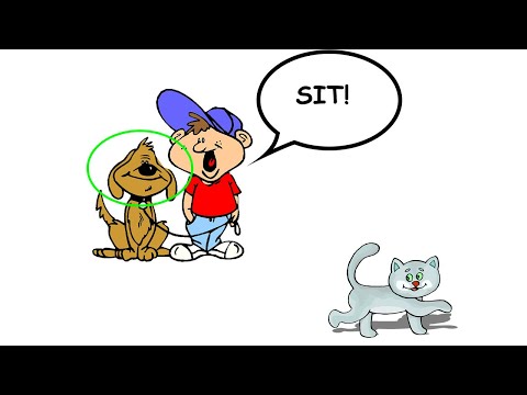 American Sign Language ASL Video Dictionary - listen to