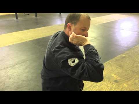 Baji Quan Studies in the Physical Science of the Expression of Fajing