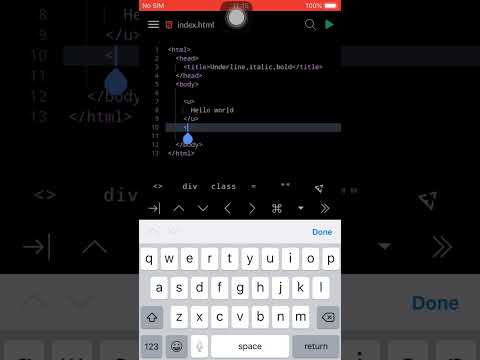 How to use Underline , Italic , Bold Tag in HTML