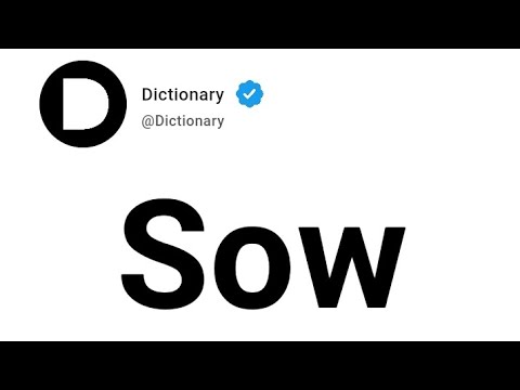 Sow Meaning In English