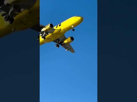 Spirit Airlines | On Arrival Over The Ocean | New York, NY (LGA) To Myrtle Beach SC (MYR) | 01/07/25