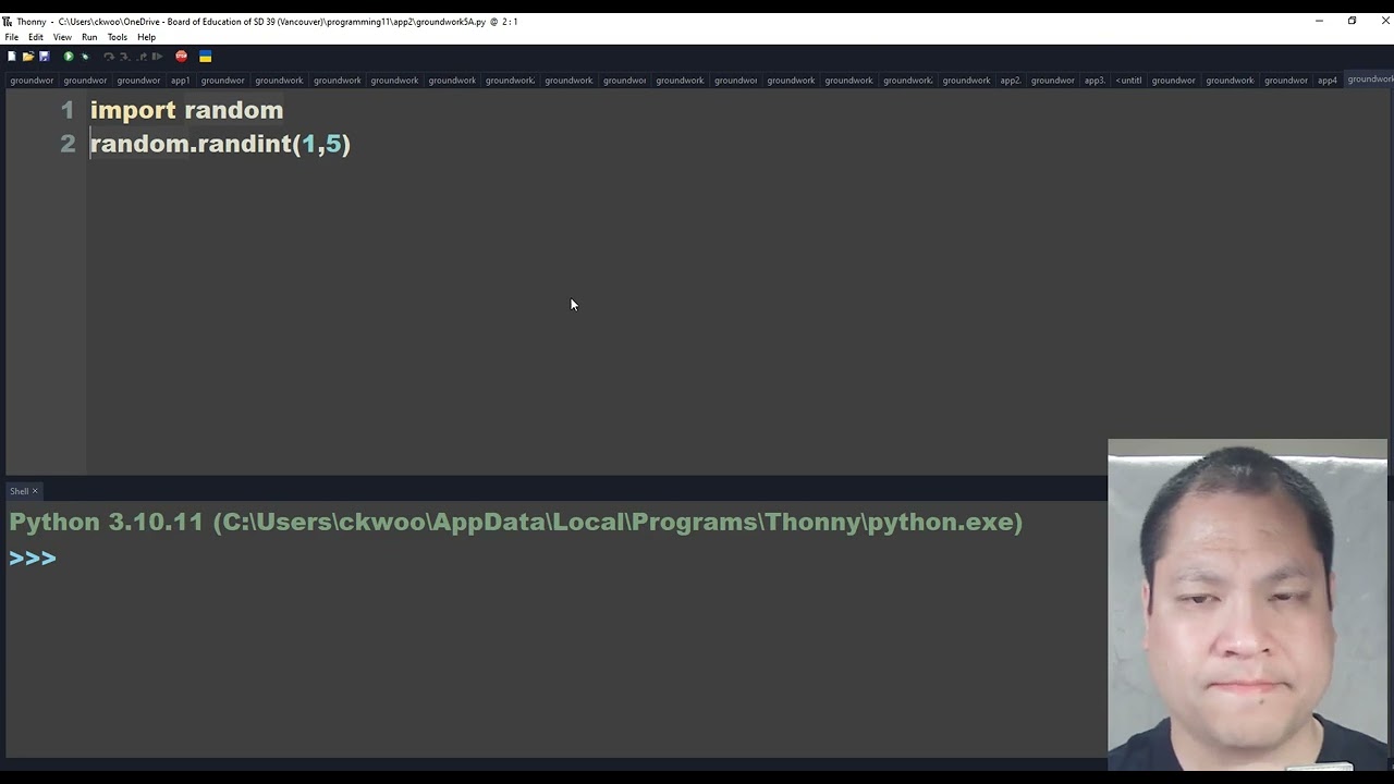 Python Level 1 - Groundwork 5A - random.randint