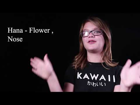 BiteSized Japanese Word of the Day - Hana | BiteSizedEDU