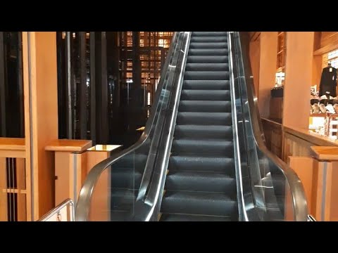 Difference between Lift, Elevator, Escalator and Travelator | Info Talkers