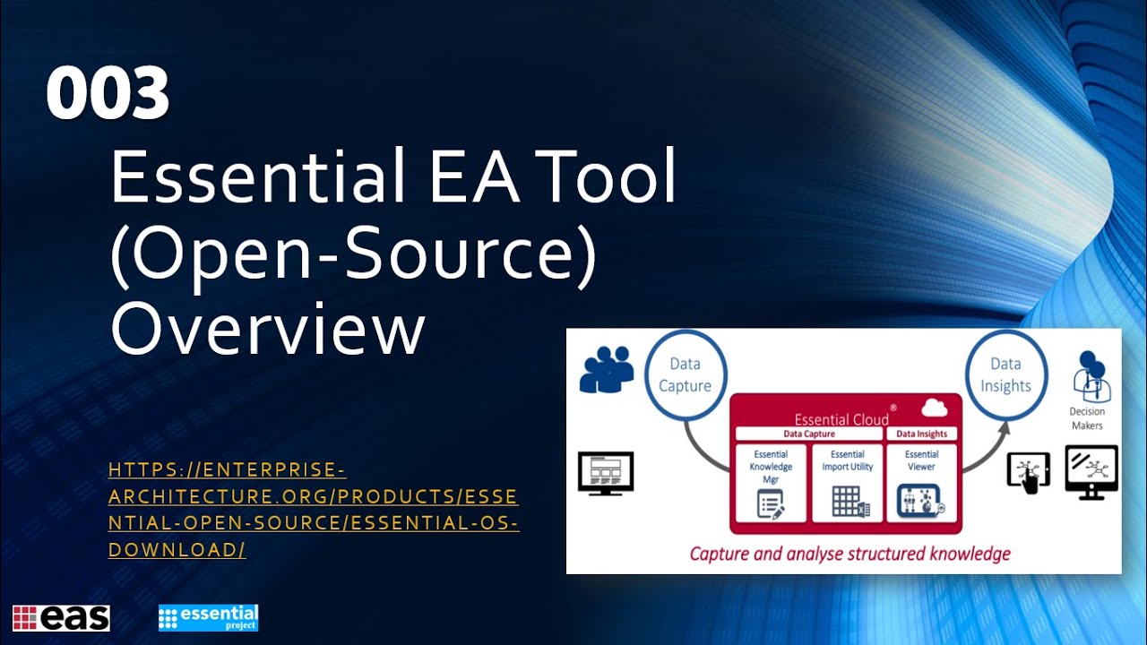 Essential EA Tool 003 - Essential Overview