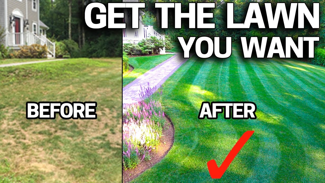 How to FIX an UGLY Lawn with RESULTS - Step by Step for Beginners EASY