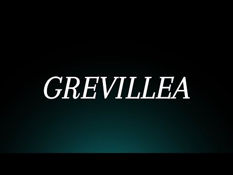 Learn How to Pronounce 'Grevillea'! Correctly (Flower Pronunciation)