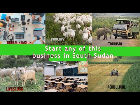The Best 5 Reasons To Start Your Business in South Sudan for Expats and Diaspora's.