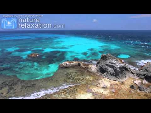 4K Mexico Beyond Blue ft LIQUID MIND Mexico Reef Scenes Nature Relaxation Video