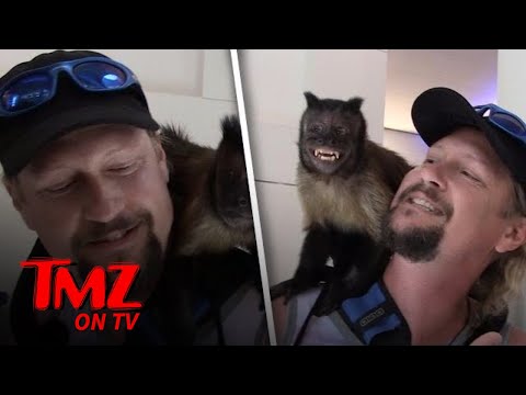 Crystal The Monkey At LAX! | TMZ TV