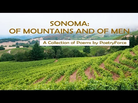 WHAT WOULDN'T BURN: A Sonoma Poem