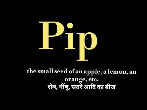 pip meaning l meaning of pip l pip ka matlab Hindi mein kya hota hai l vocabulary