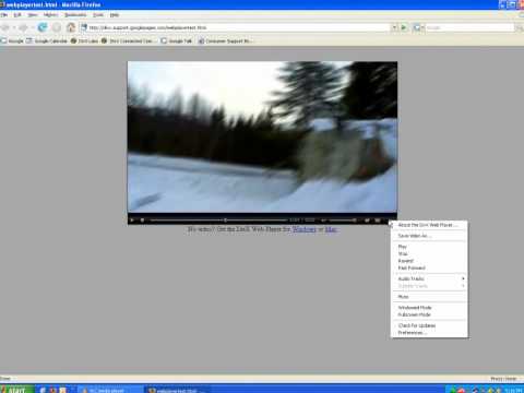How to use the DivX Web Player playback controls