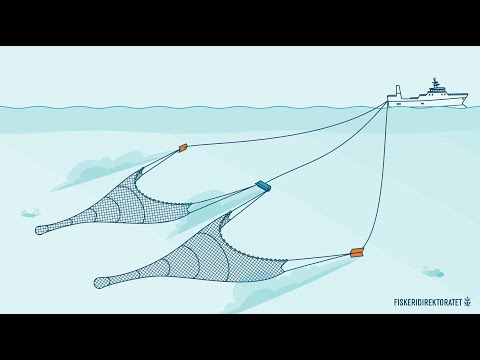 Fishing activity on the Norwegian continental shelf