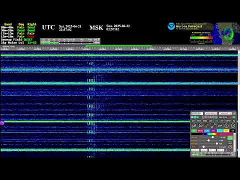 The Buzzer (4625khz) - Live