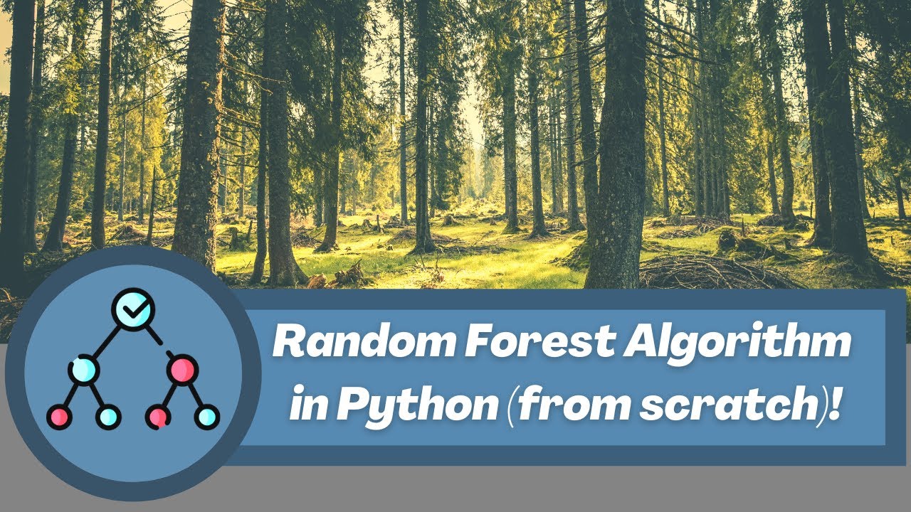 Building a Random Forest Classifier in Python - Machine Learning Tutorial and Full Beginner’s Guide