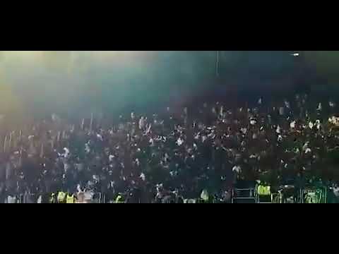 Sporting fans celebrating goal against Benfica 🇵🇹