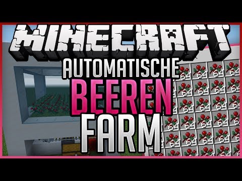 automatic sweet berries farm Minecraft Project