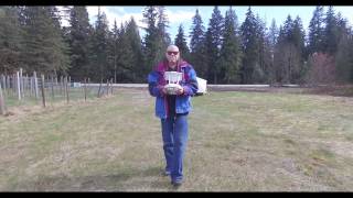 3 Best Hiking Trails in Maple Ridge, BC - Expert Recommendations