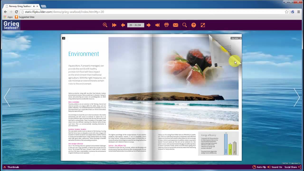 FlipBuilder  publish Drupal flipbook plug in easily