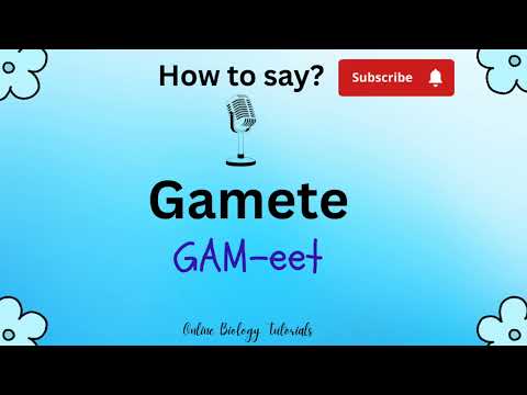 Gamete I What is Gamete I How to pronounce Gamete I How to say Gamete I Pronunciation