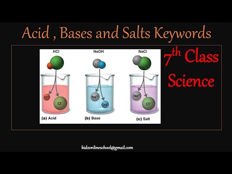 Acids, Bases and Salts || Keywords || 7th Class Science || Science Dictionary | Definition | Grade 7