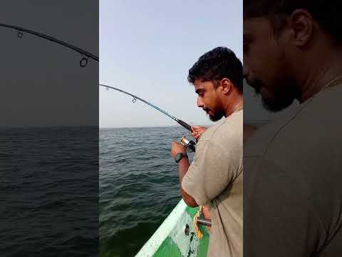 Fishing with Rubber Lure #fishing #fishingvideos #thoondilulagam #seafishung