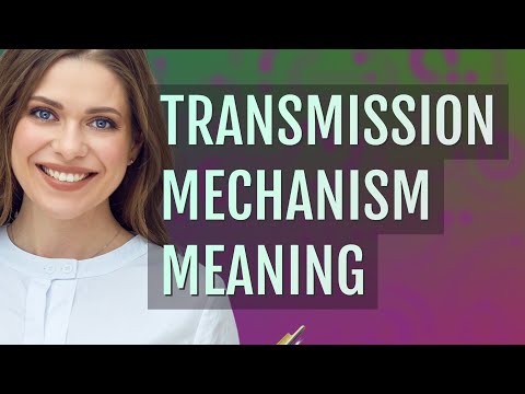 Transmission mechanism | meaning of Transmission mechanism