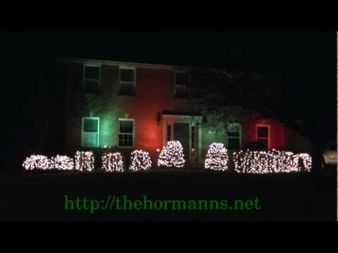 2012 Christmas Bushes