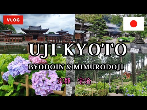Byodoin and Mimurodoji - Uji Kyoto Japan 2023【VLOG】