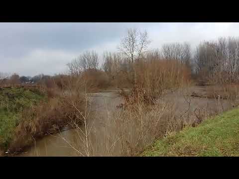 The confluence of Ravanica river and Great Morava river on 11.01.2025