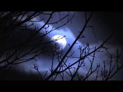 GOTHIC MOON - Nocturnal Eye watches over the city