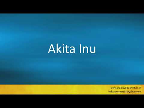 How to pronounce "Akita Inu". (Japanese)