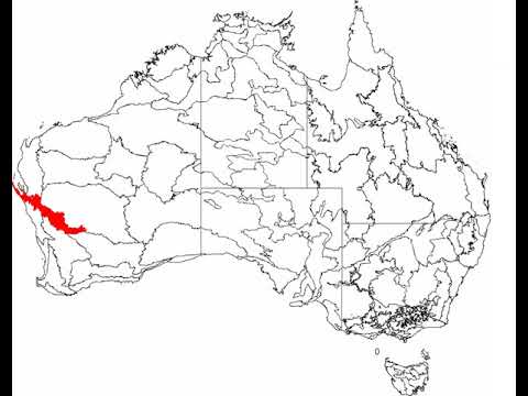 Yalgoo (biogeographic region) | Wikipedia audio article