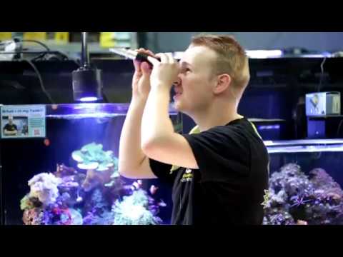 This Device Can Save Your Marine Tank!