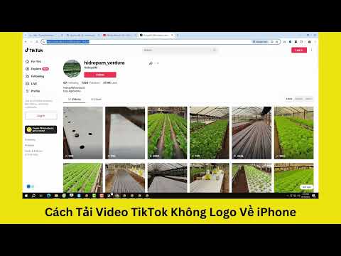 Cách Tải Video TikTok Không Logo Về iPhone