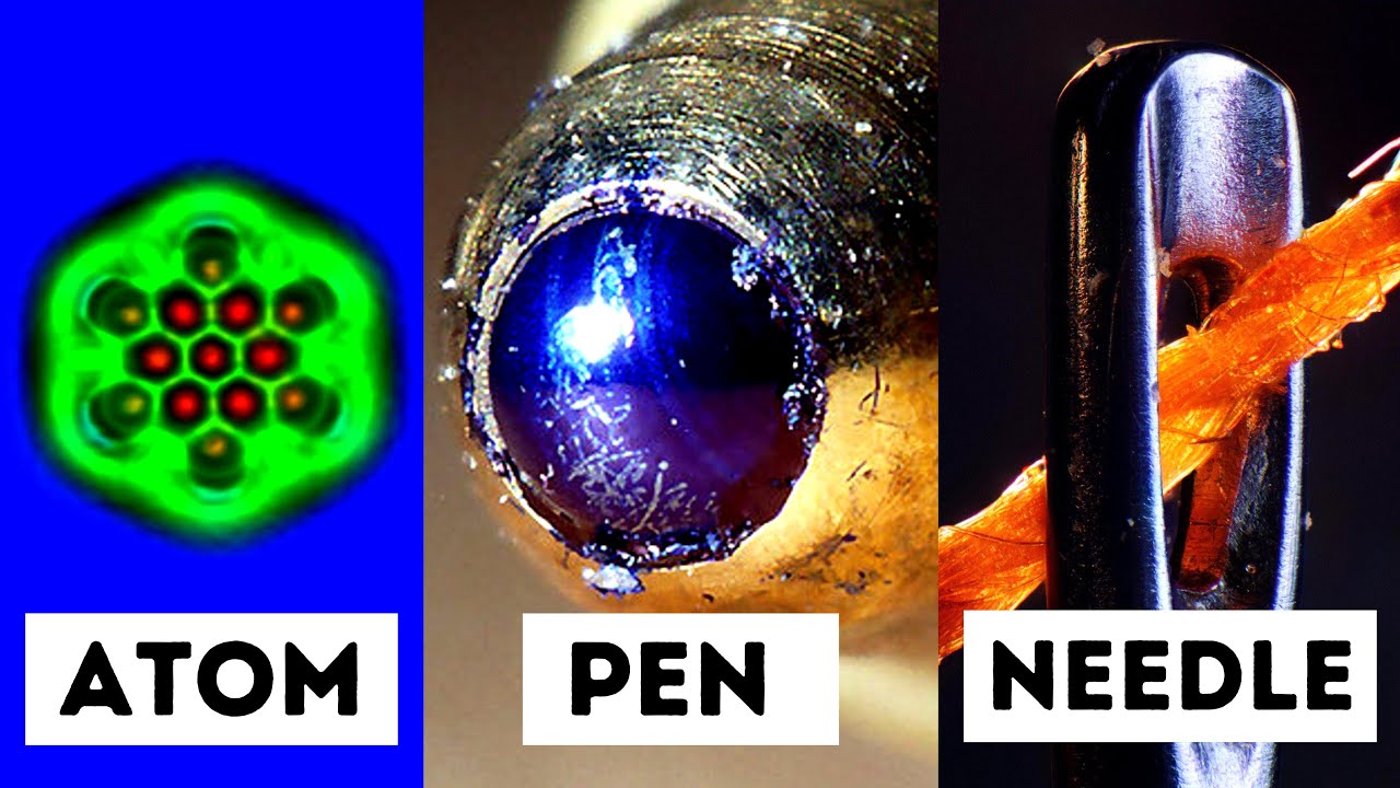 Objects Under An Electron Microscope!