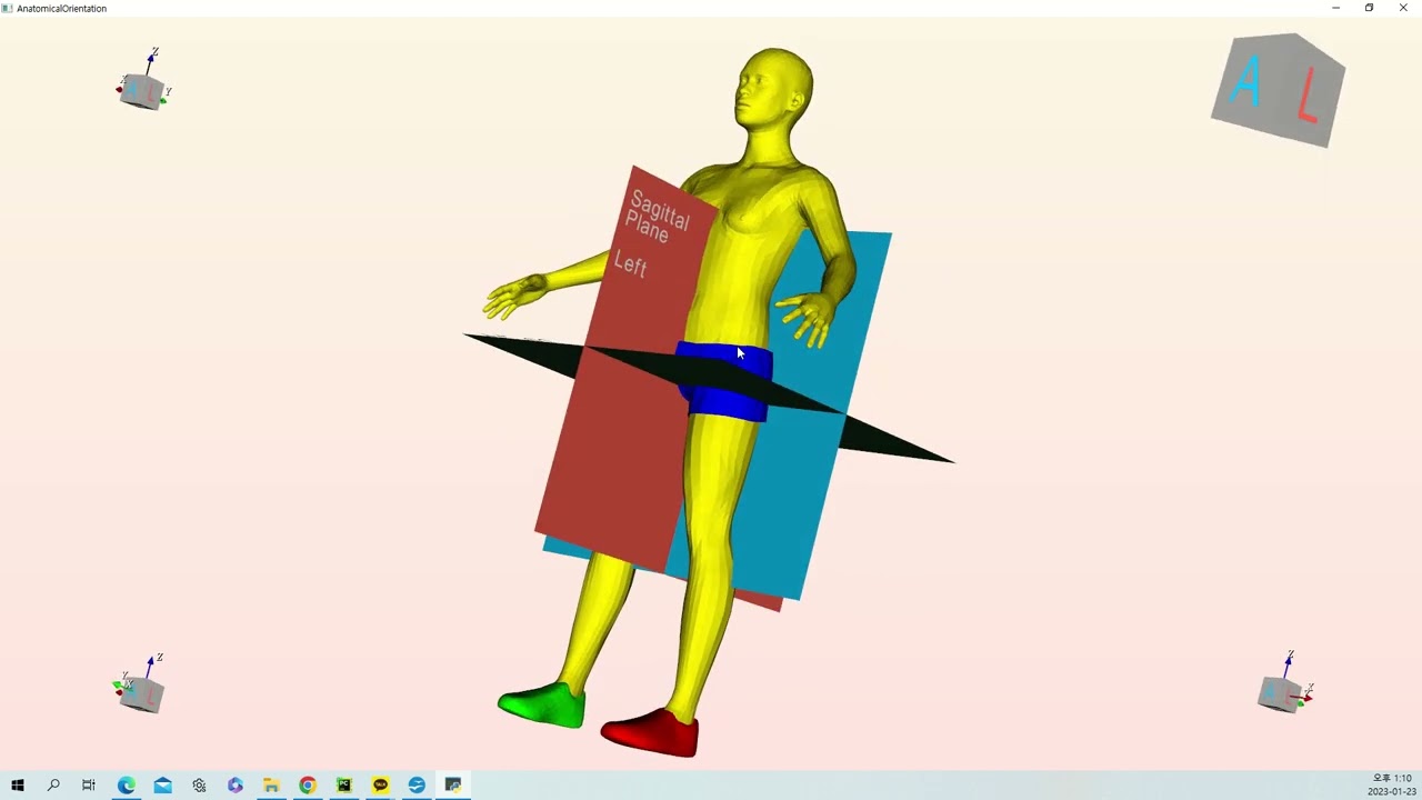 VTK Python Example - AnatomicalOrientation